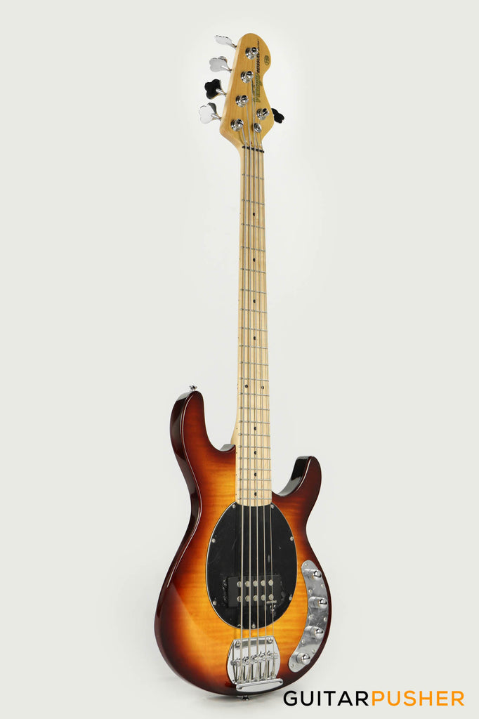 Vintage Reissued V96 5-String Active Bass - Flamed Tobacco Sunburst ...