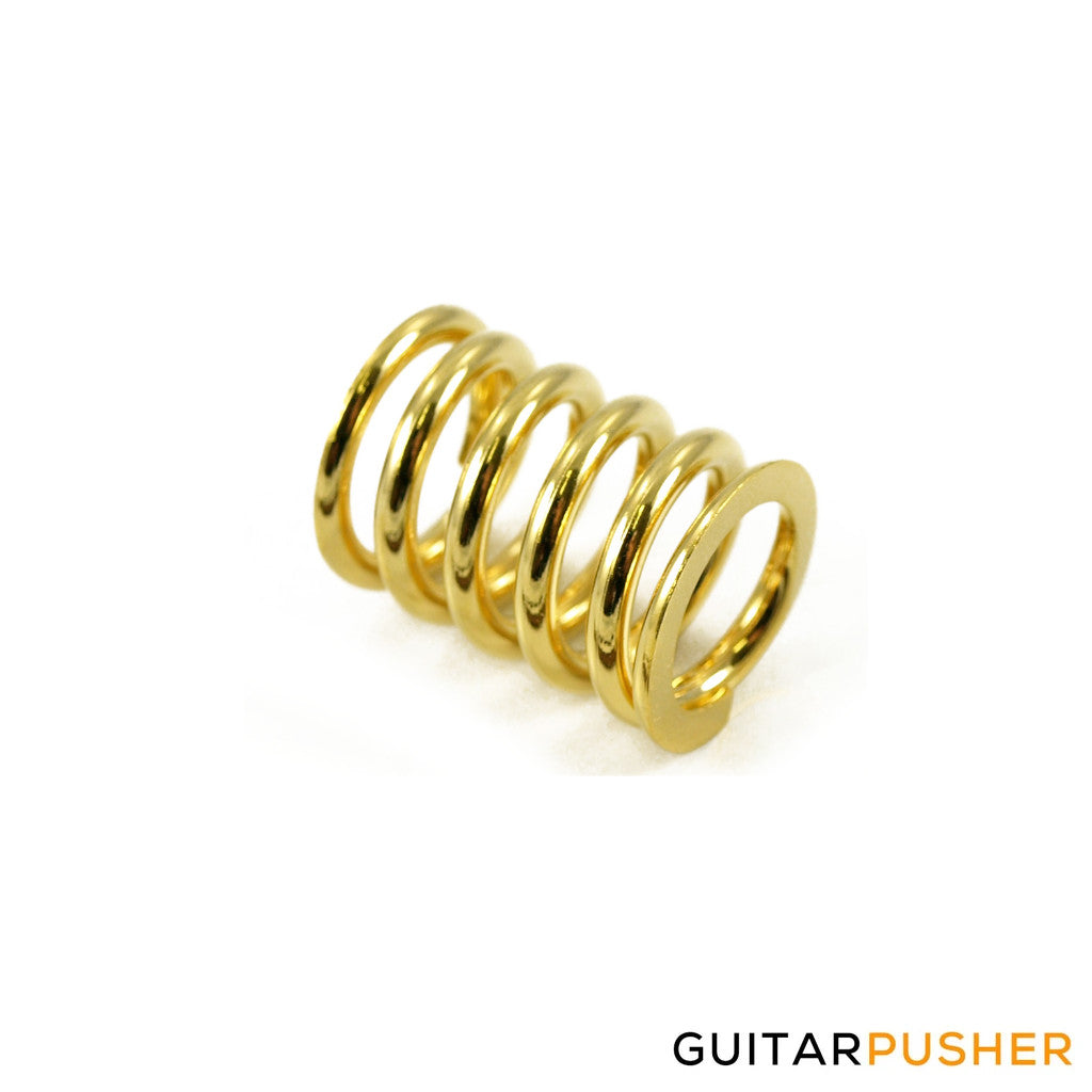 Bigsby Replacement 1" Spring (Chrome) – GuitarPusher